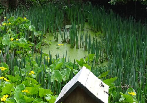 Briarfields | Adults Only Touring Park & Campsite In Gloucester